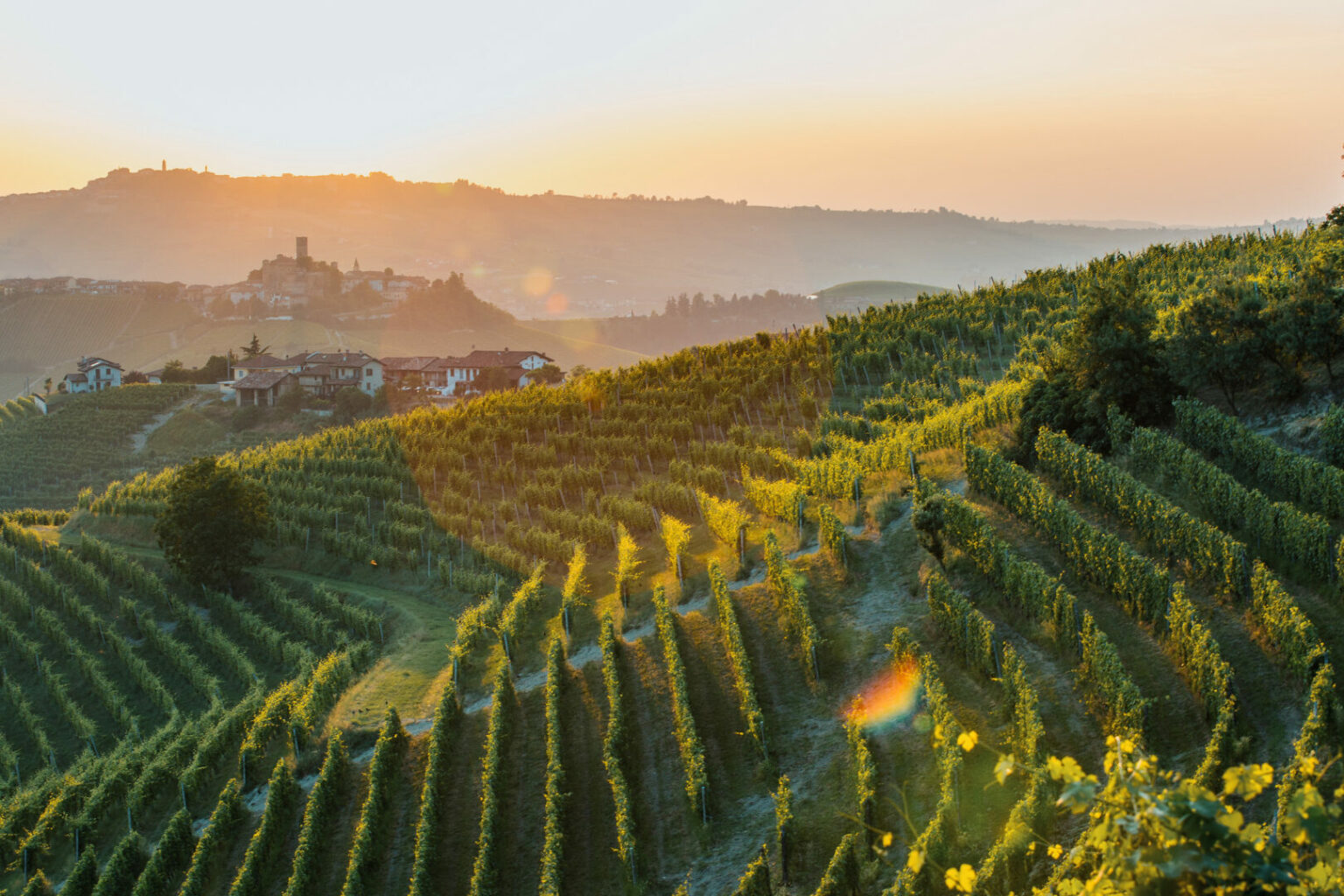 Visiter Barolo : 3 incontournables à faire ou à voir ⭐ 2026