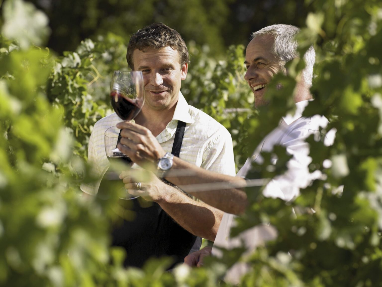 Page Not Found | Winalist Blog - Idées week-ends oenologie et Route des ...