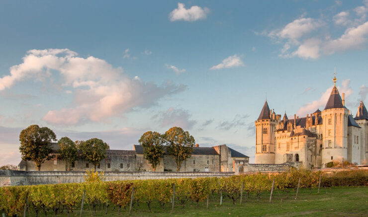 Vineyards near Paris: Wine Regions Near Paris For A Day Trip