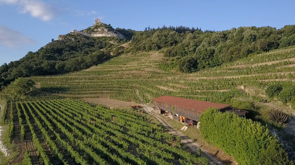 Rhône Valley wine route: 10 best cities, stops, & wineries