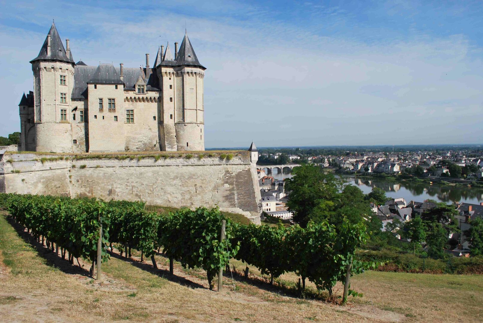 Route des vins de touraine : les incontournables