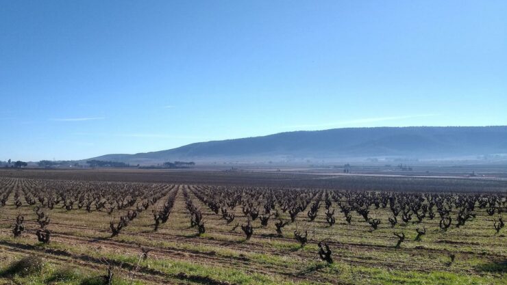 Top 6 best wine regions of Spain - Your Complete Guide
