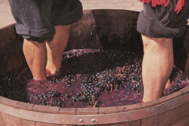 Fantastic Wine Harvest Festivals To Visit In Europe