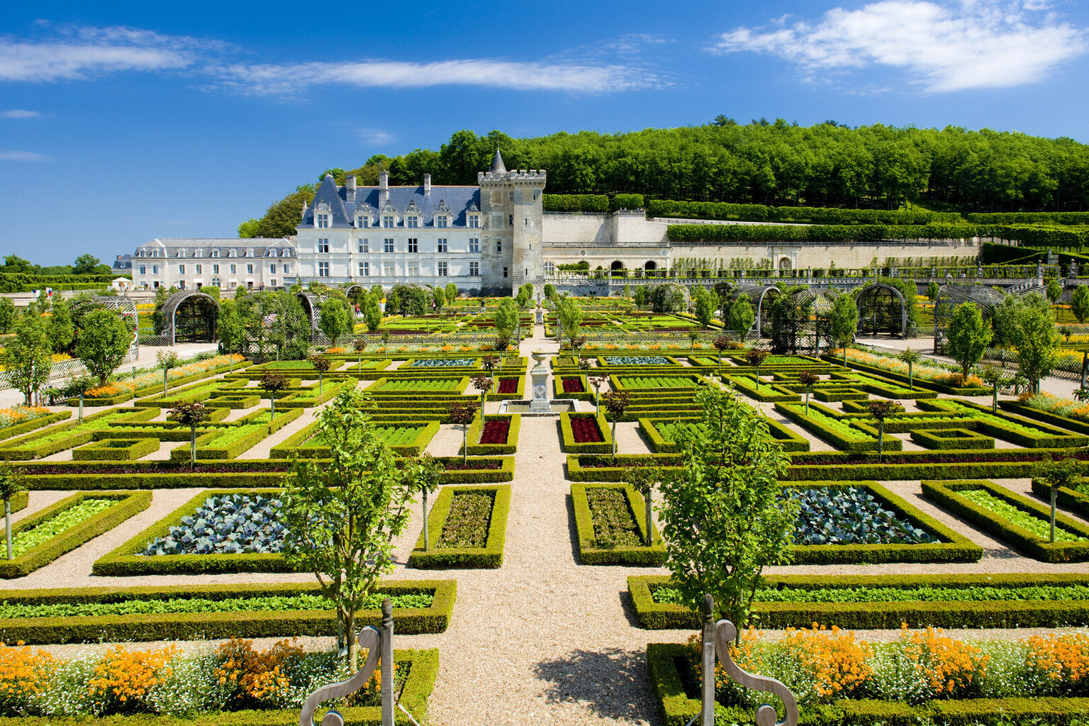 TOP Loire Valley Castles to Visit 2025 ⭐️ BEST itinerary