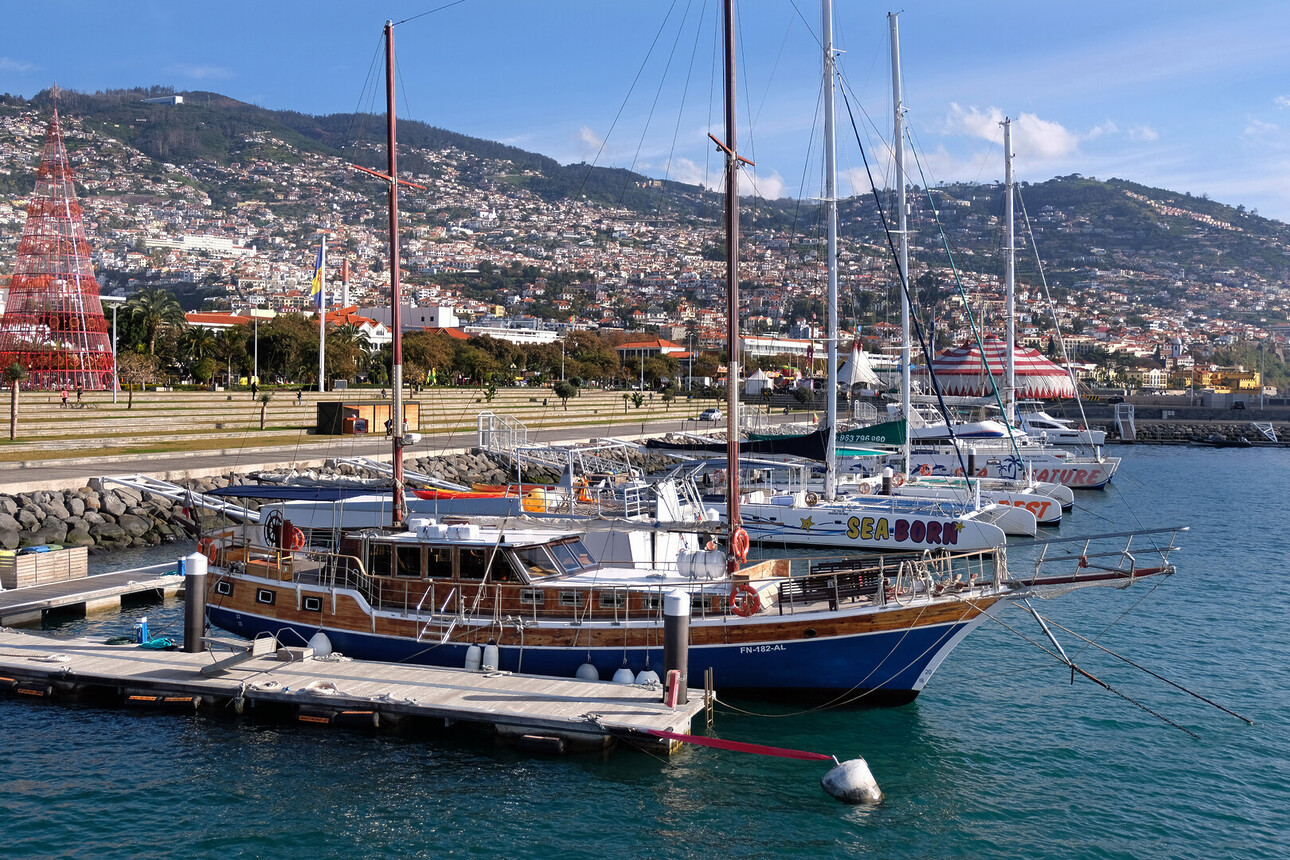 Best Things to do in Madeira ⭐️ The Perfect Itinerary 2025