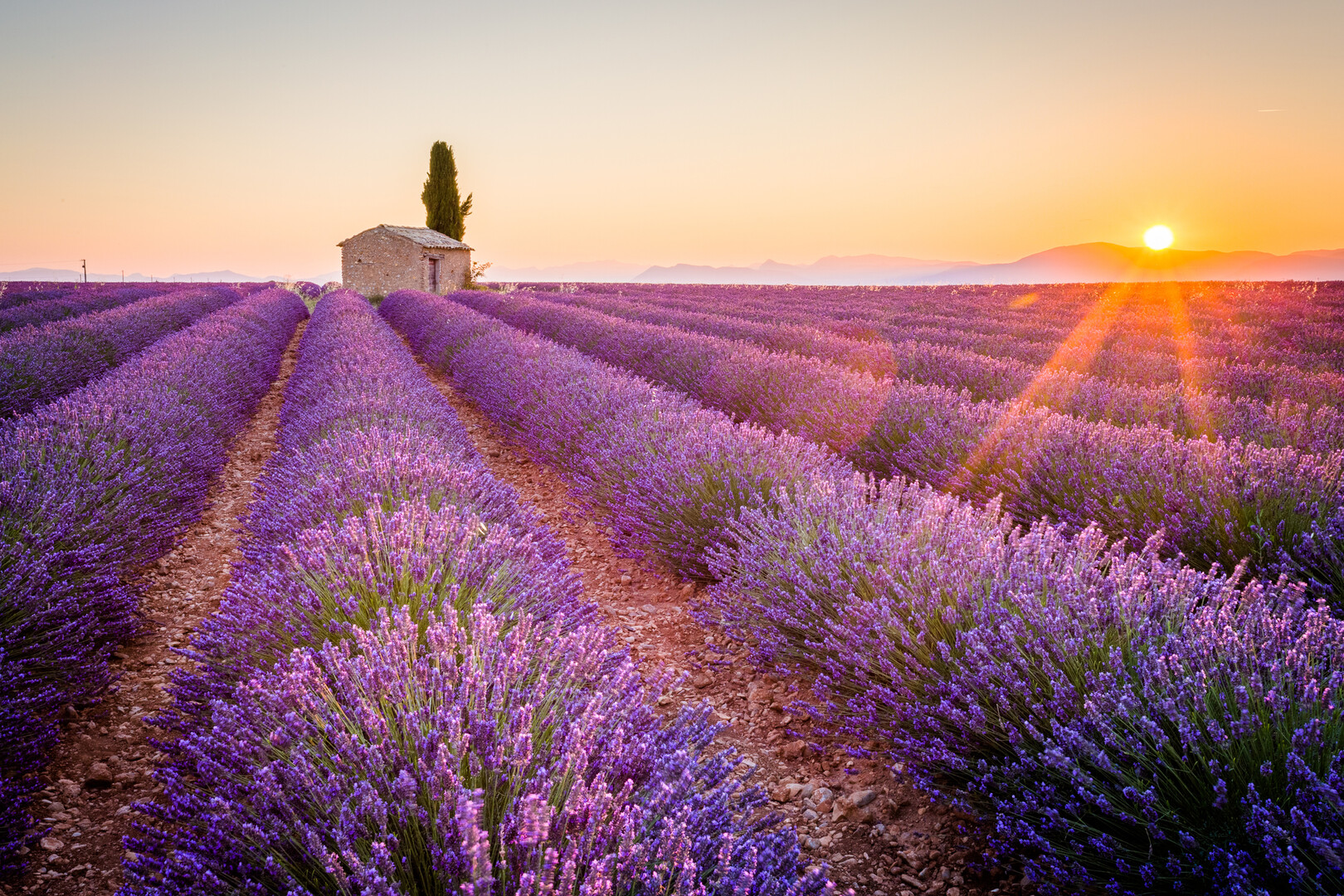 Cosa vedere in Provenza: fra mare e lavanda ⭐️ 2025