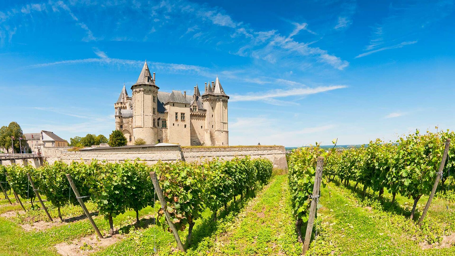 BEST French Wine Regions to Visit in 2025 ⭐️ Made in France