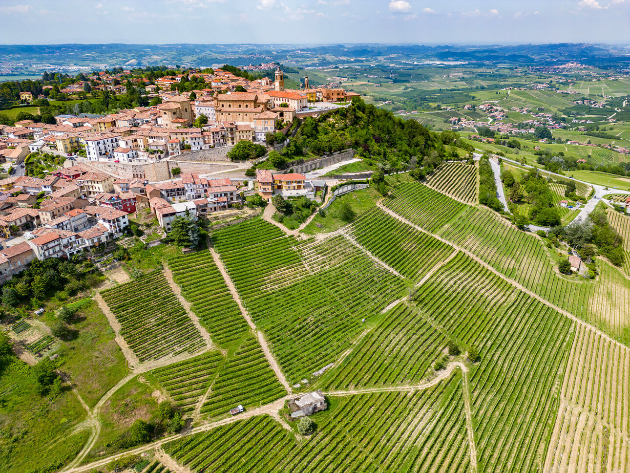 6 things to do in Alba Italy: Visiting Alba Italy ⭐️ 2025