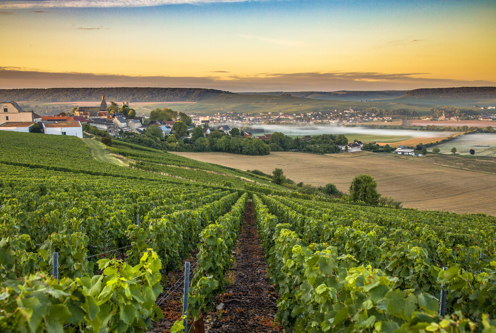 Route du Champagne : Le meilleur itinéraire 2026