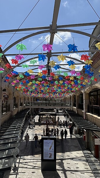 Visiter Aveiro ⭐️ Les incontournables de 2026