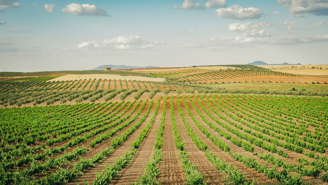 Things to Do in Mérida Spain 2026 ⭐️ Your Extremadura Guide