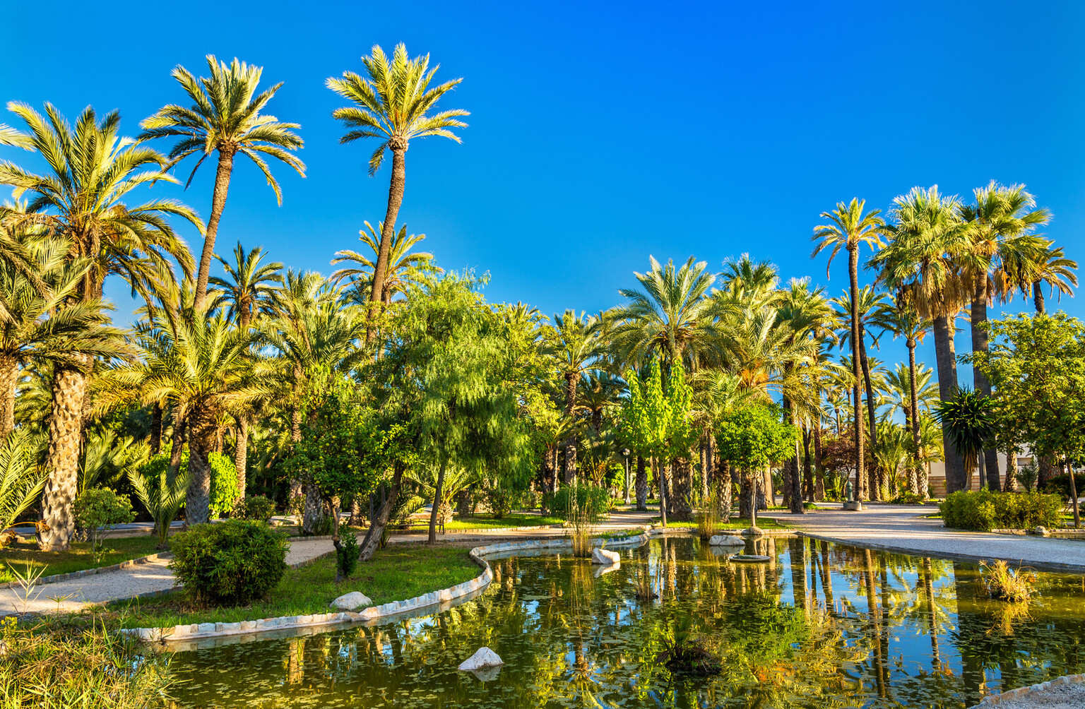 The Best Things to Do in Elche ⭐️ Your Spanish 2026 Guide