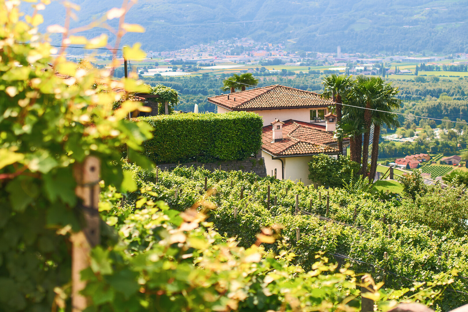 Top Things to Do in Locarno in Switzerland ⭐️ 2025 Trip