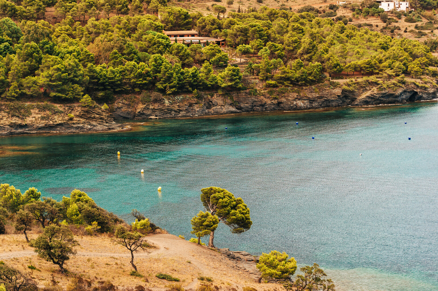 Visit Roses in Spain ⭐️ What You Can’t Miss in 2026